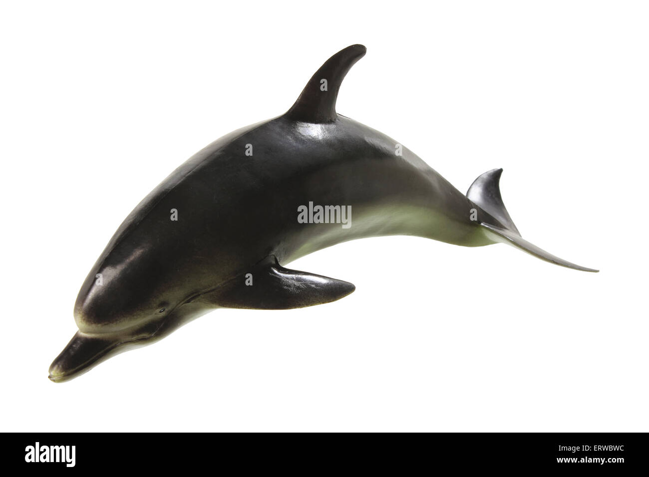 Leaping dolphin Cut Out Stock Images & Pictures - Alamy