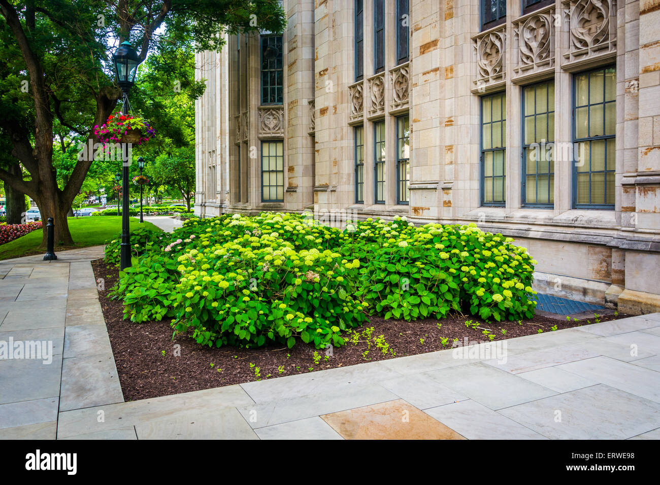 Gardens outside the Cathedral of Learning, at the University of ...