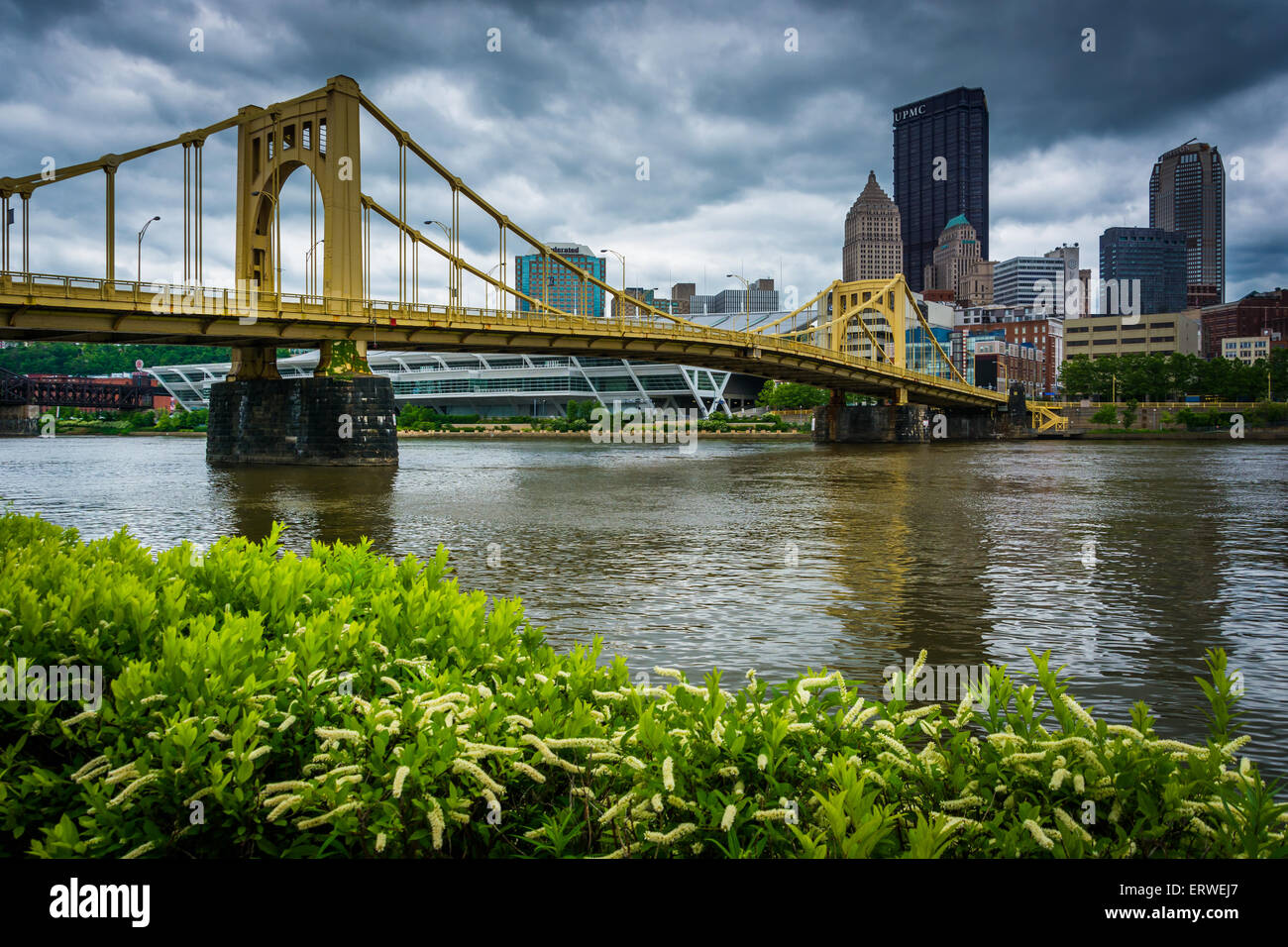 The Rachel Carson Bridge over the Allegheny River in Pittsburgh ...