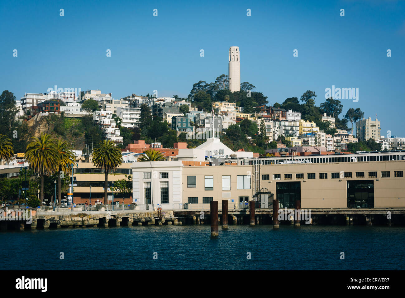 Coit tower beautiful blue sky hi-res stock photography and images - Alamy