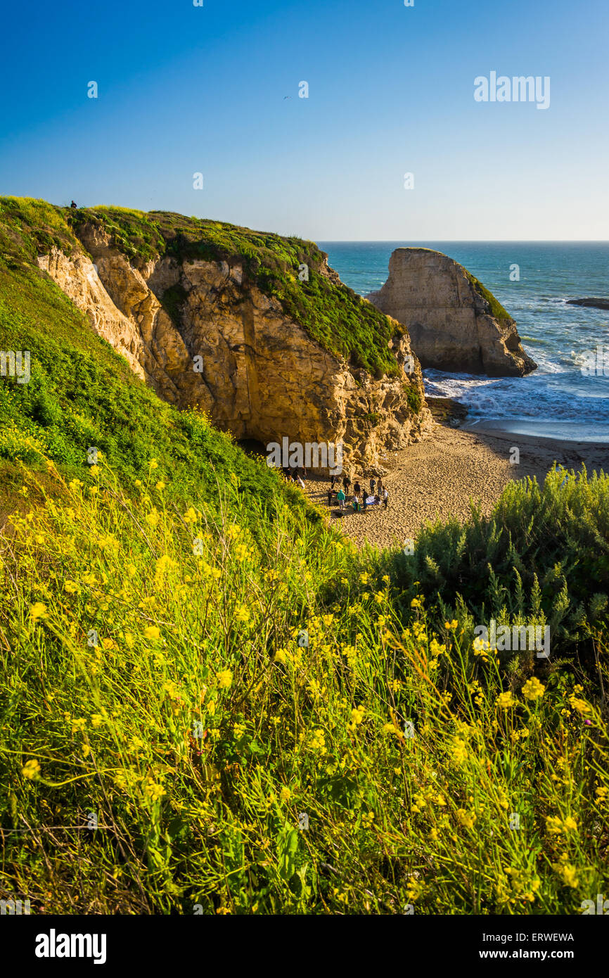 Shark fin rock hi-res stock photography and images - Alamy