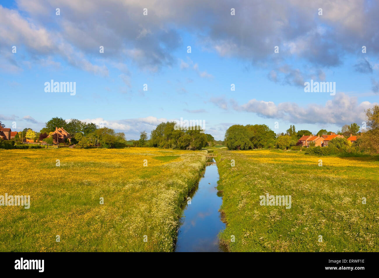 A stream running through flower filled water meadows in the village of ...