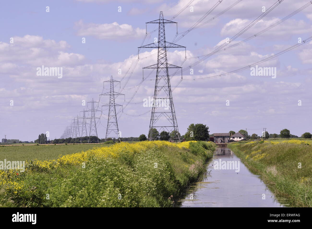 Electricity pylons near Nordelph, Norfolk Fens, UK Stock Photo - Alamy