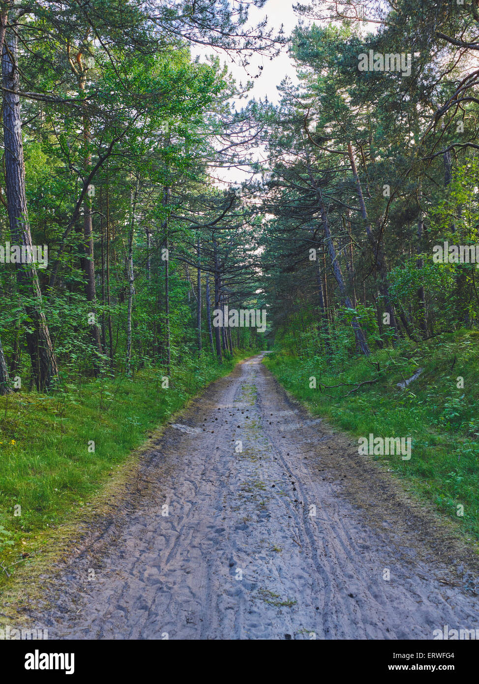 No ware hi-res stock photography and images - Alamy