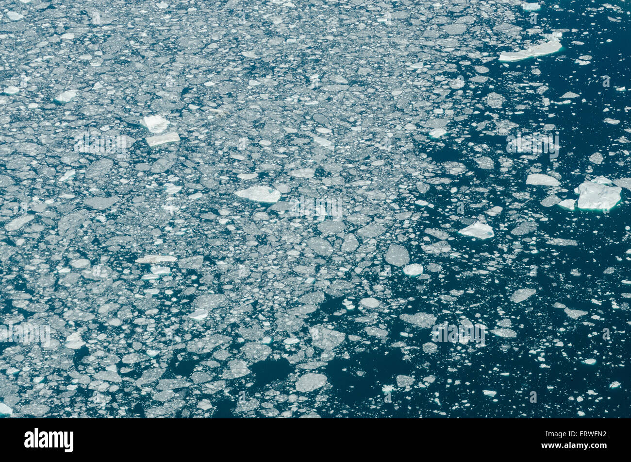 Open water with pack ice over ocean in Greenland Stock Photo - Alamy