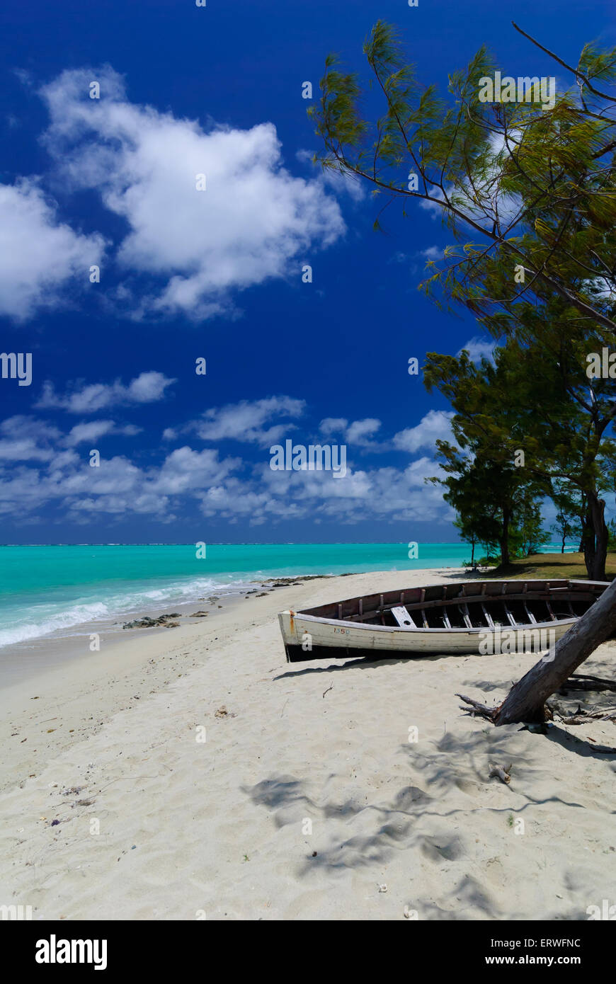 Boat trees hi-res stock photography and images - Alamy