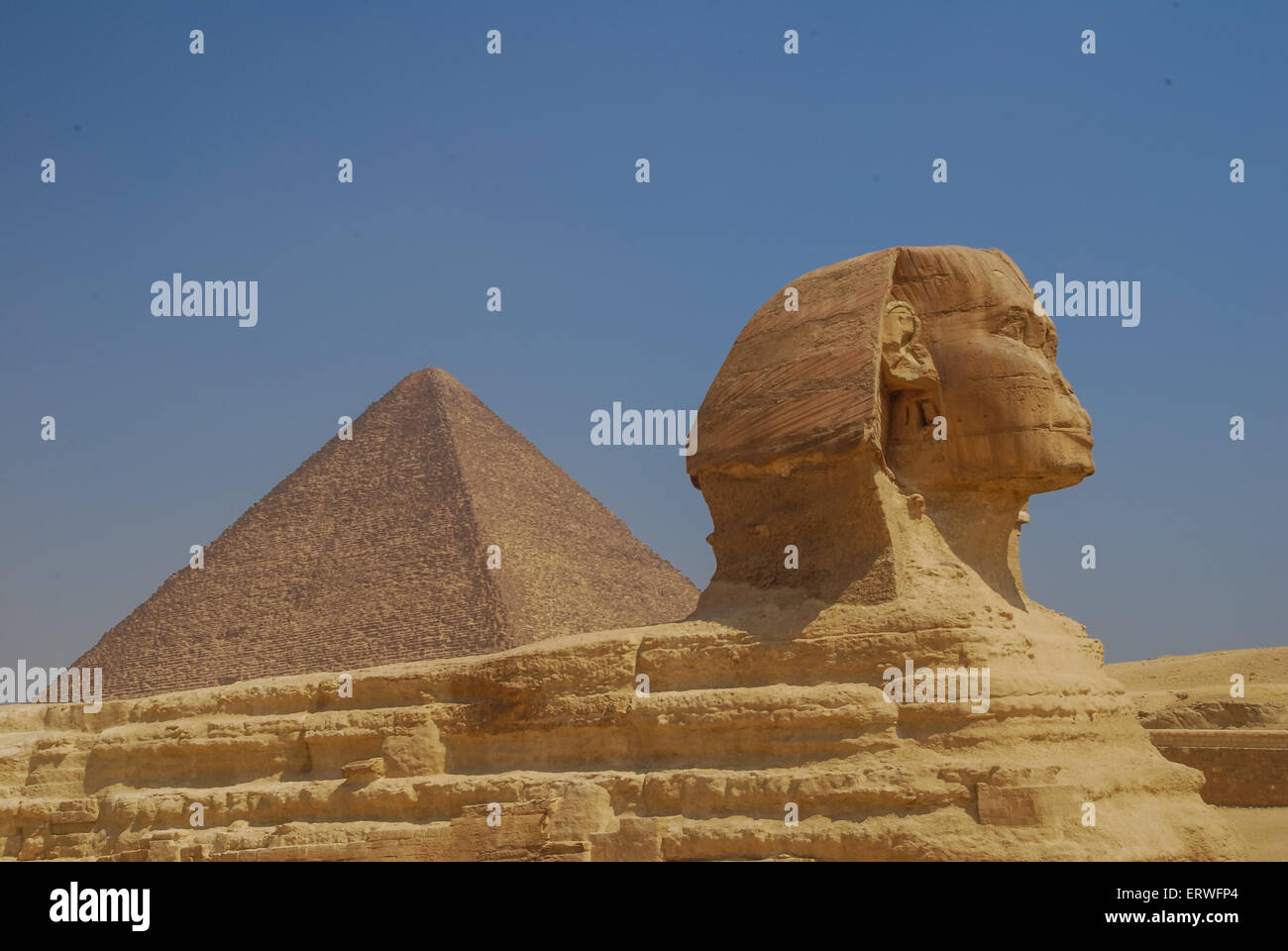 Hemiounou hi-res stock photography and images - Alamy