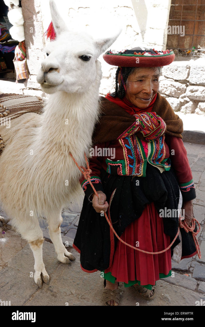 An old peruvian lady with an alpaca Stock Photo - Alamy