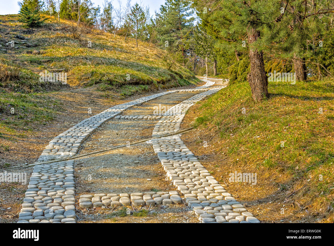 The way of nature on a path bordered by stones in the trees on the ...