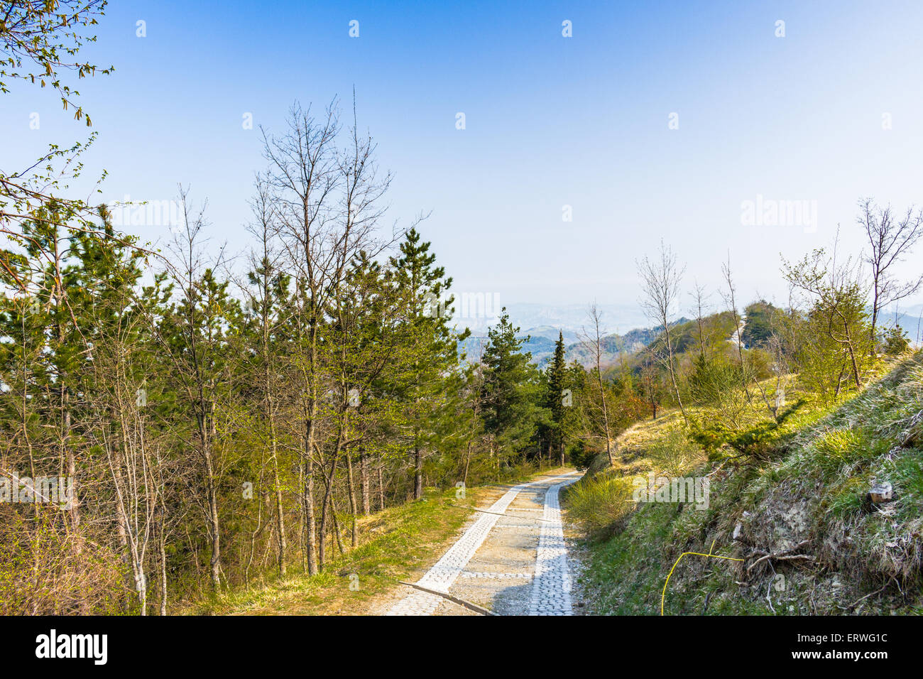 The way of nature on a path bordered by stones in the trees on the ...