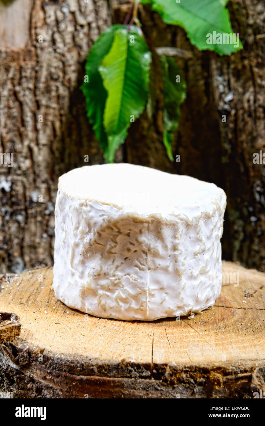 french cheeses Chaourse on a piece of wood Stock Photo - Alamy