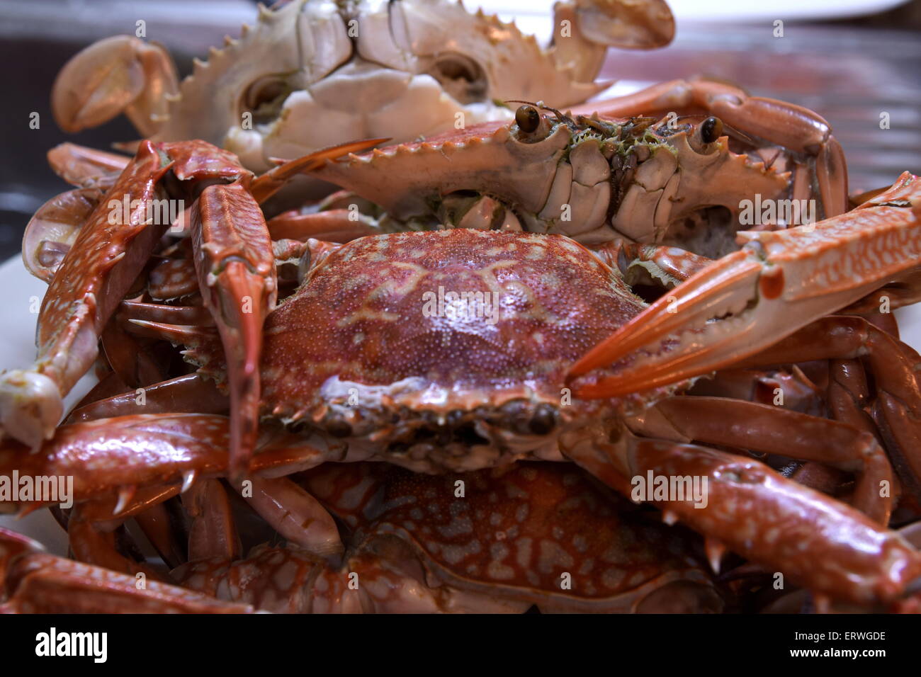 Boiled Crabs Ready to cook for Thai Crab Curry Stock Photo - Alamy