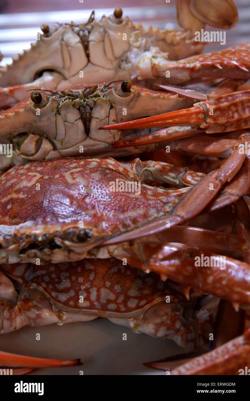 Boiled Crabs Ready to cook for Thai Crab Curry Stock Photo - Alamy