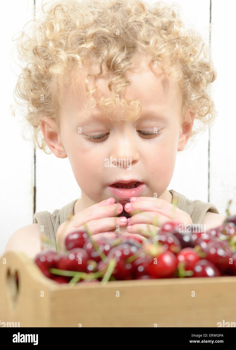 a small blond boy eating cherries Stock Photo - Alamy