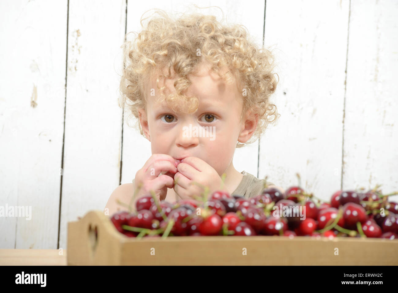 a small blond boy eating cherries Stock Photo - Alamy