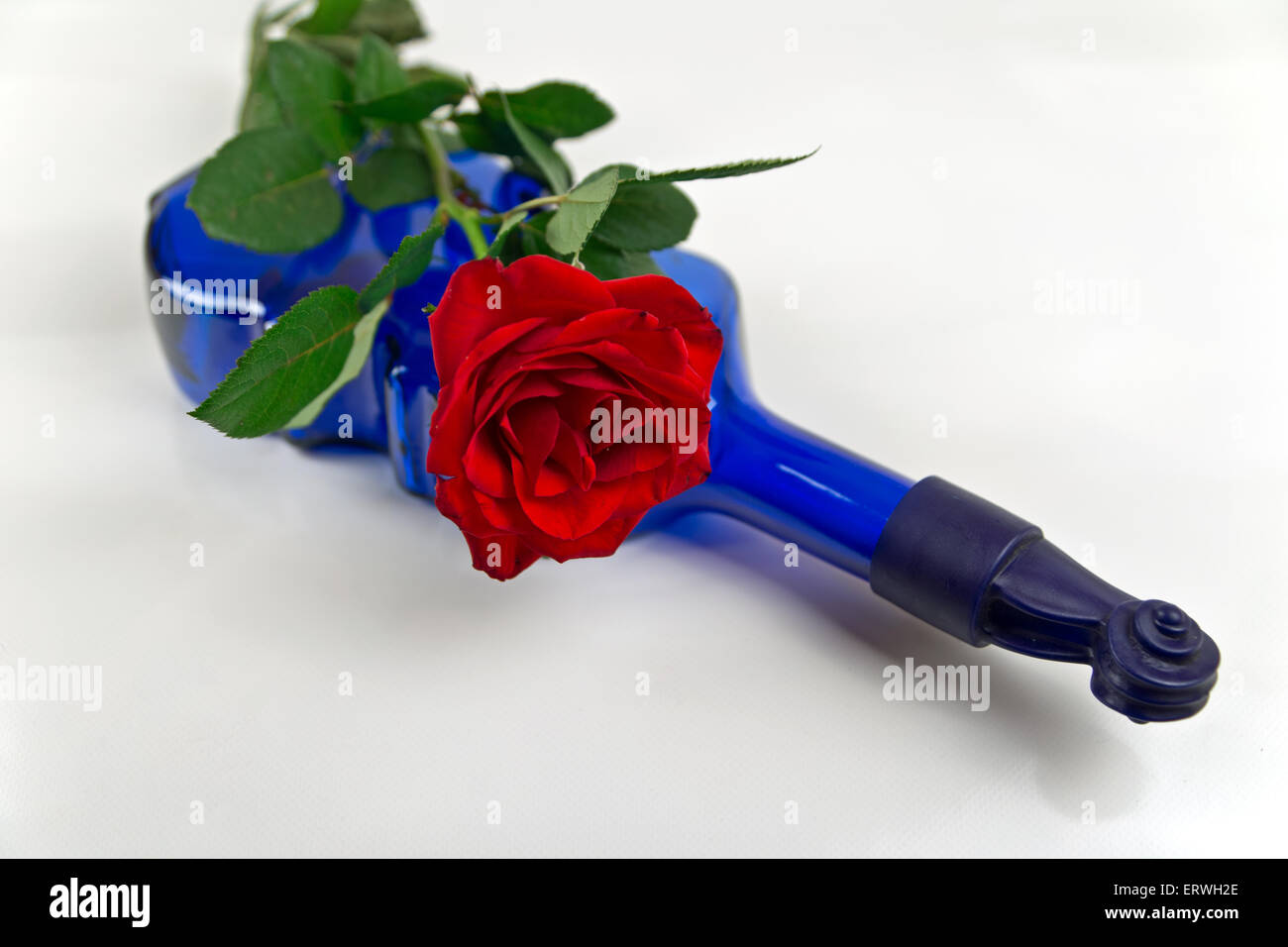 Red rose on blue wine bottle Stock Photo - Alamy