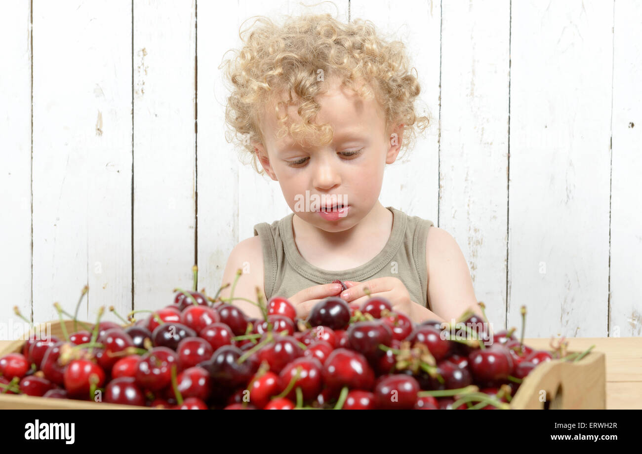 a small blond boy eating cherries Stock Photo - Alamy