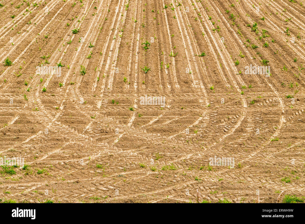 Tire marks tractor on farmland Stock Photo - Alamy