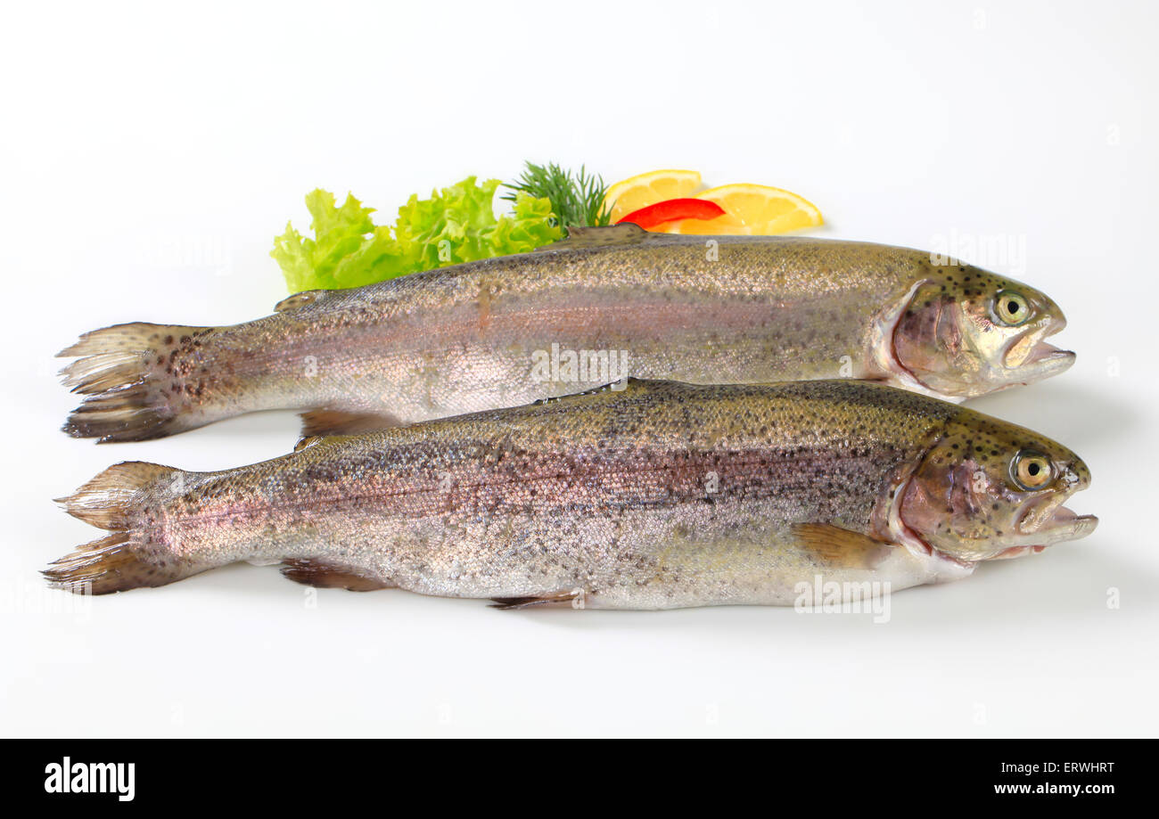 Studio shot of two fresh trout Stock Photo - Alamy