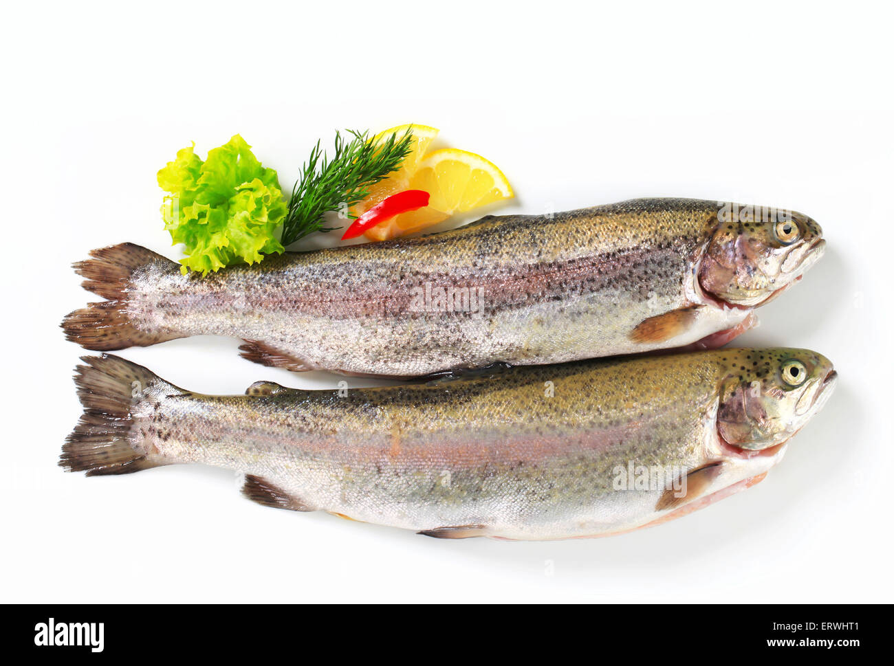 Studio shot of two fresh trout Stock Photo - Alamy