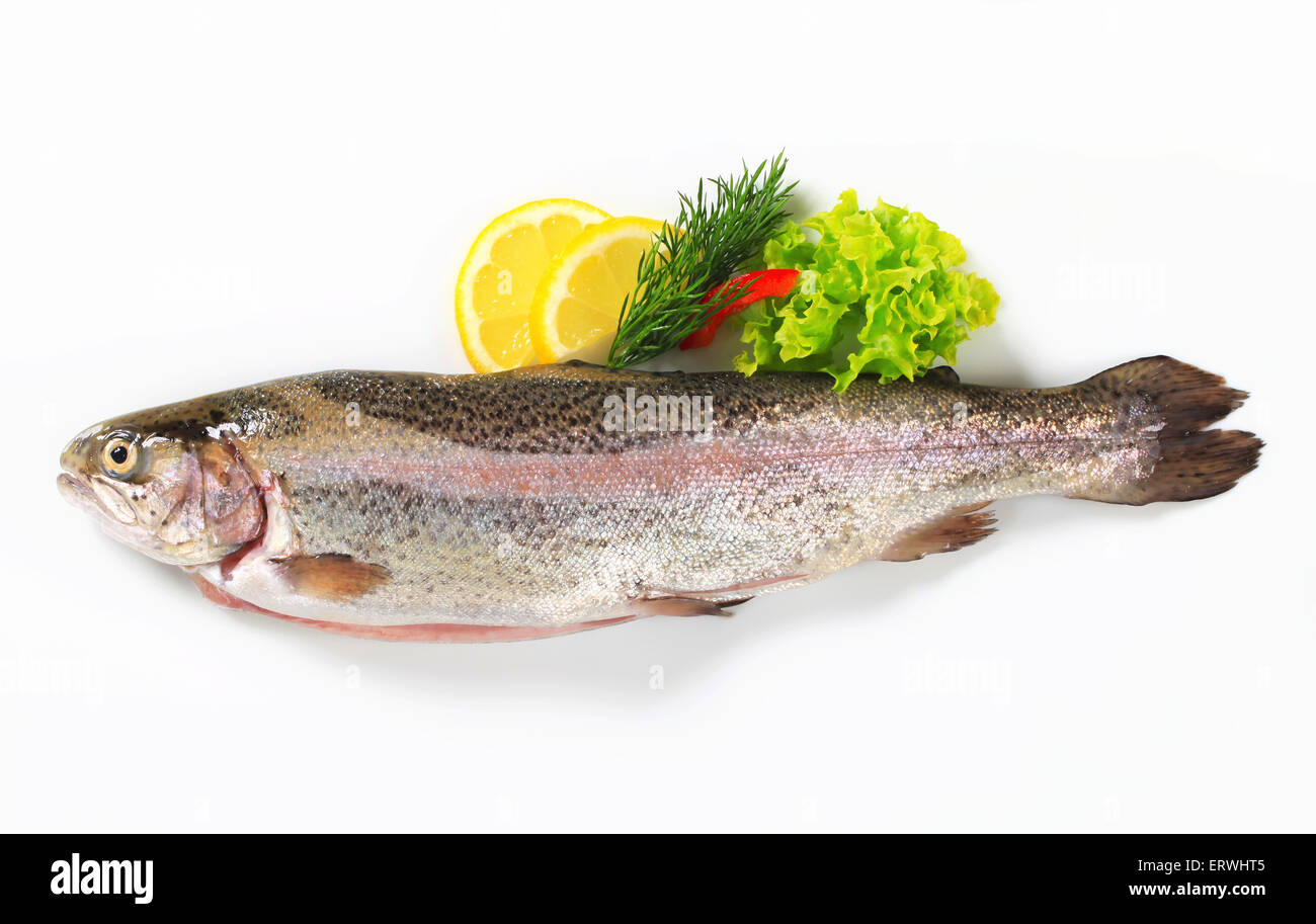 Studio shot of fresh trout Stock Photo - Alamy