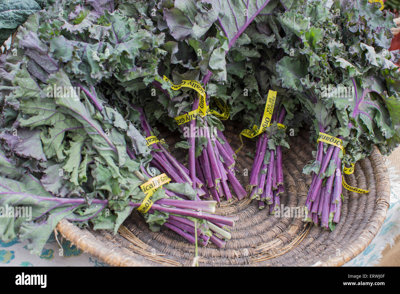 Purple kale hi-res stock photography and images - Alamy