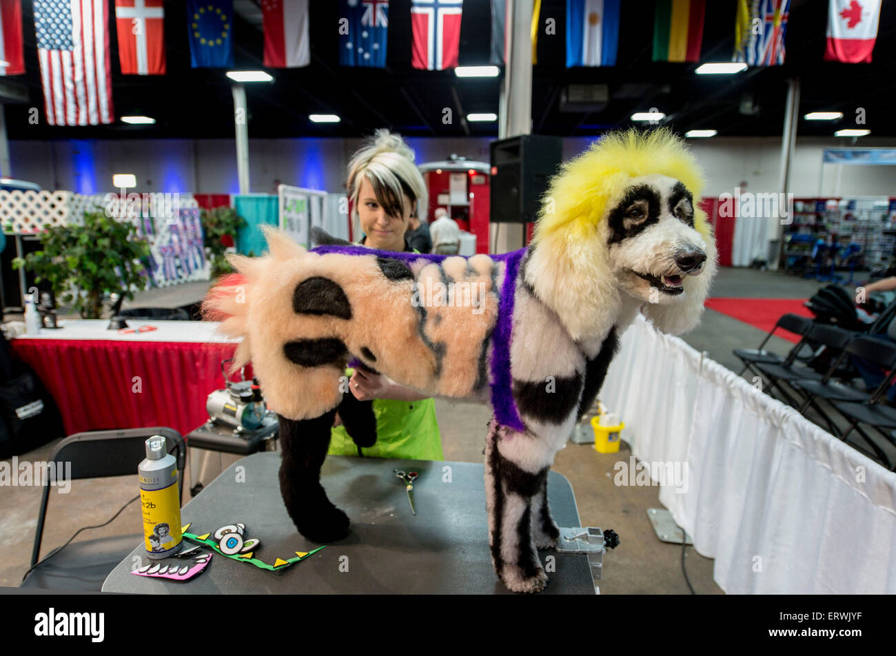 Somerset, New Jersey, USA. 08th June, 2015. KAYLA SPEARS transforms her ...