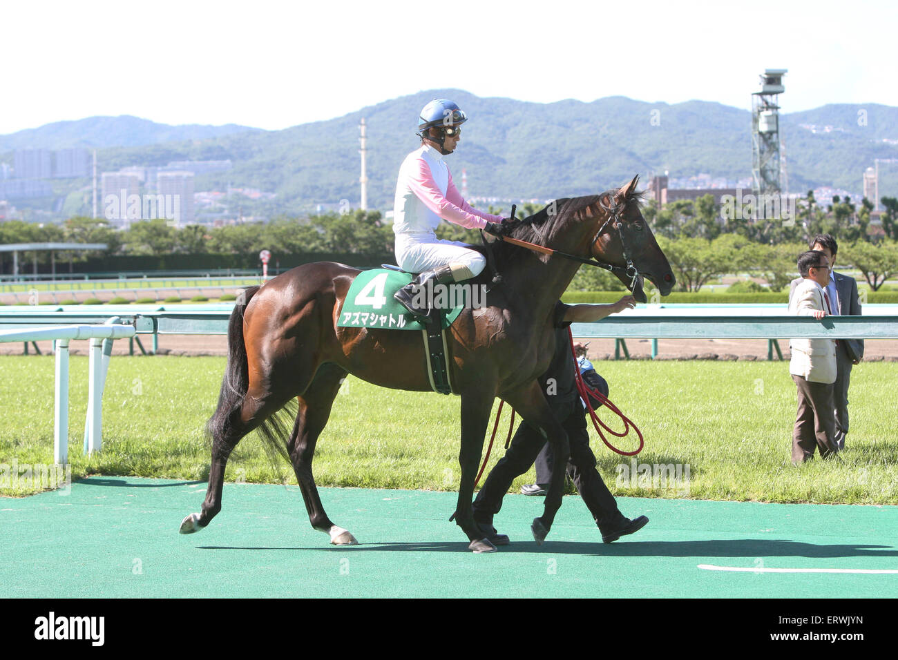 Hyogo, Japan. 6th June, 2015. Azuma Shuttle (Ryuji Wada) Horse Racing ...