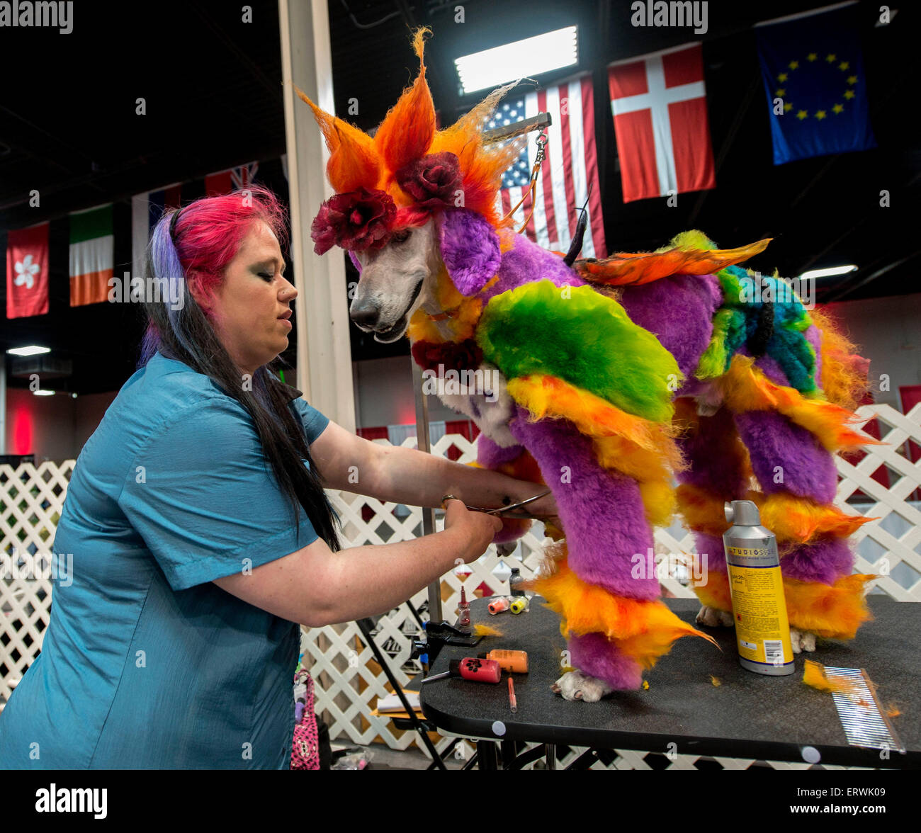 Somerset, New Jersey, USA. 08th June, 2015. LORI CRAIG transforms her ...