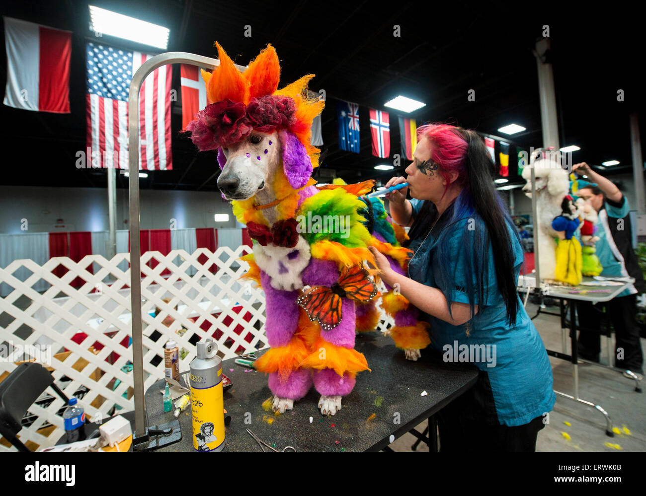Somerset, New Jersey, USA. 08th June, 2015. LORI CRAIG transforms her ...