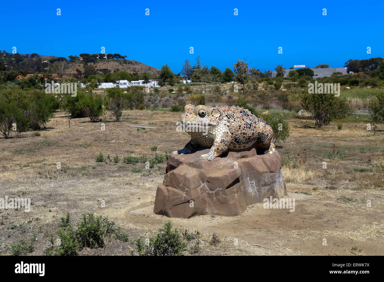 Western Toad Statue in Malibu, California Stock Photo - Alamy