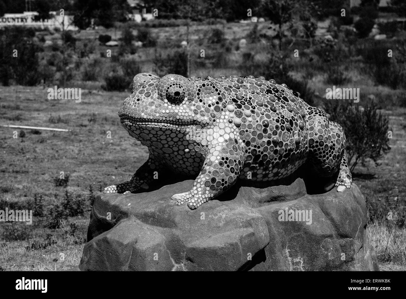 Western Toad Statue in Malibu, California Stock Photo - Alamy
