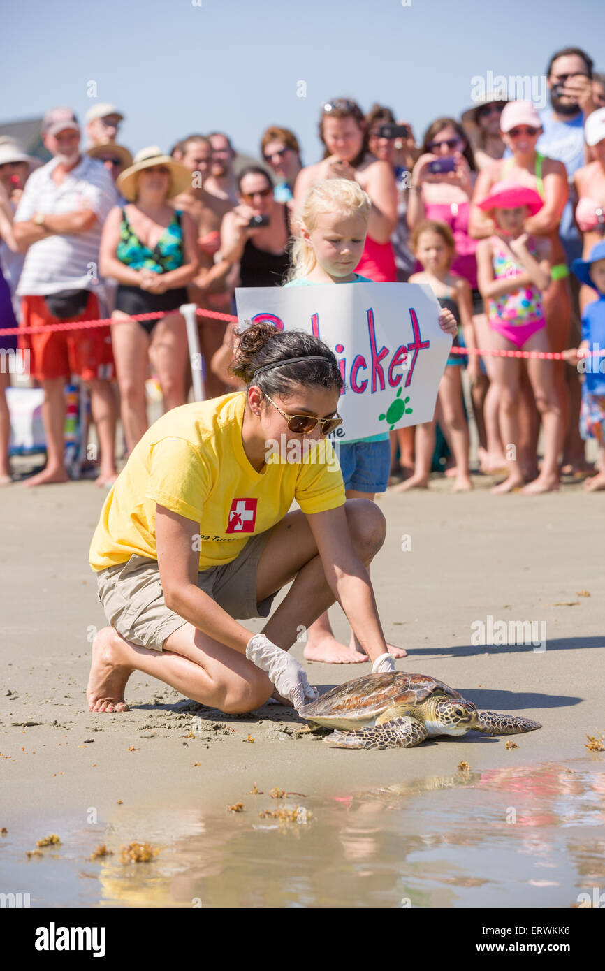 Turtles conservation southern hi-res stock photography and images - Alamy