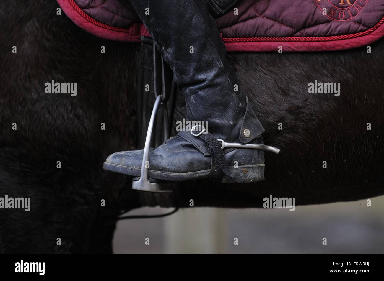 Iron spurs hi-res stock photography and images - Alamy