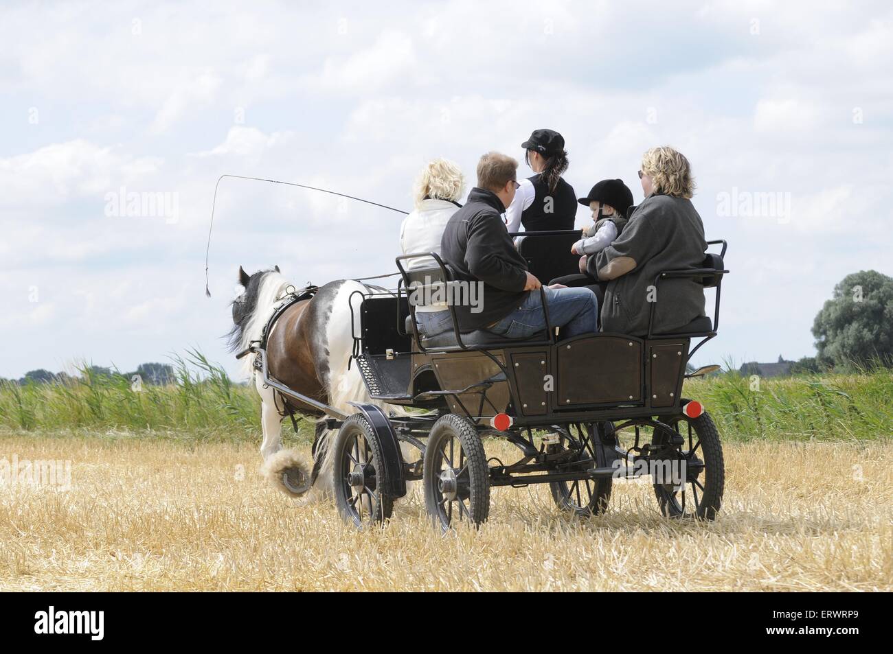 Irish horse drawn carriage hi-res stock photography and images - Alamy