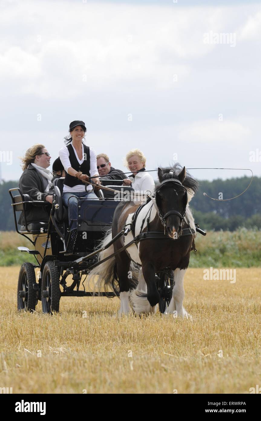 Irish horse drawn carriage hi-res stock photography and images - Alamy