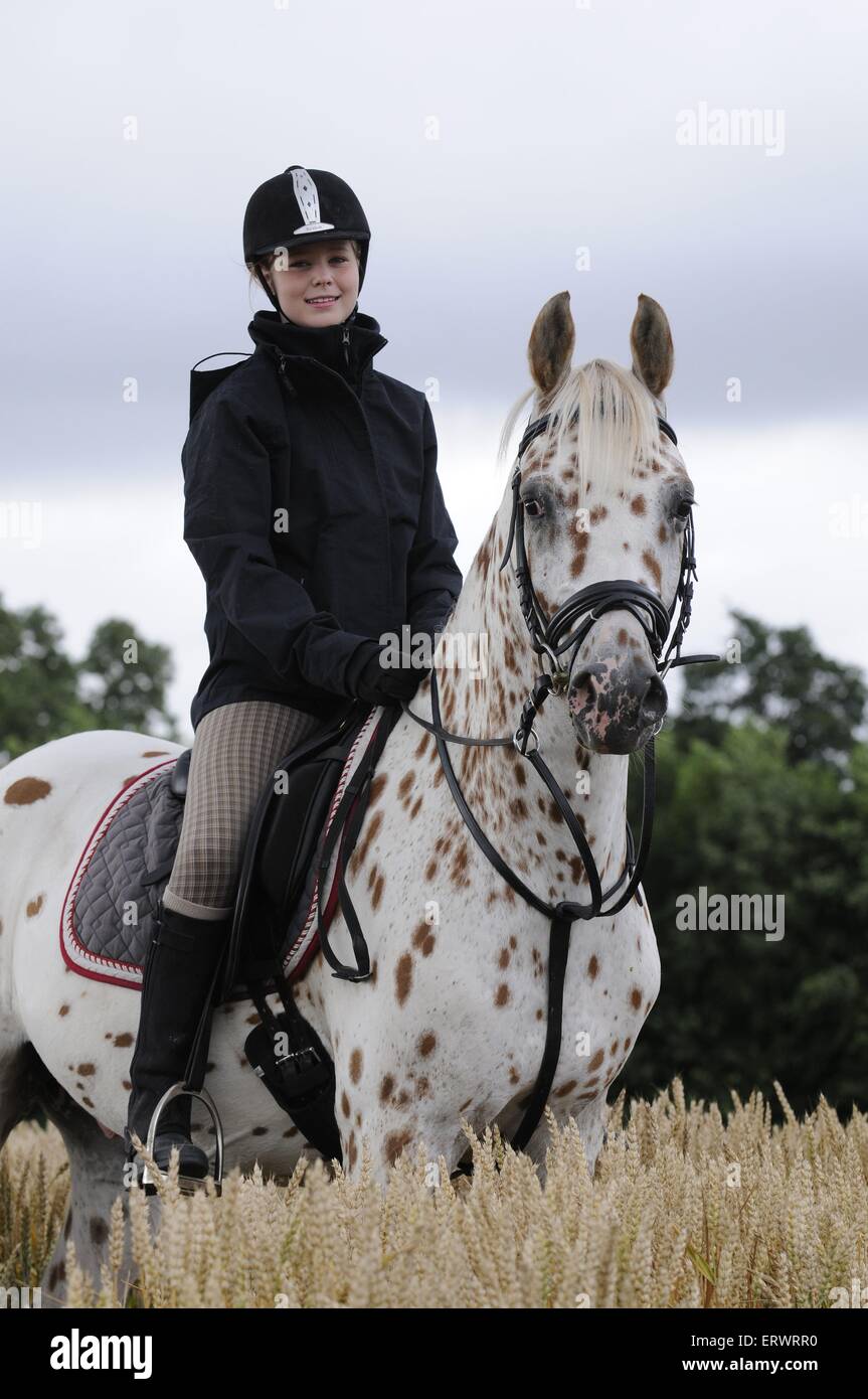woman rides Tiger Horse Stock Photo - Alamy