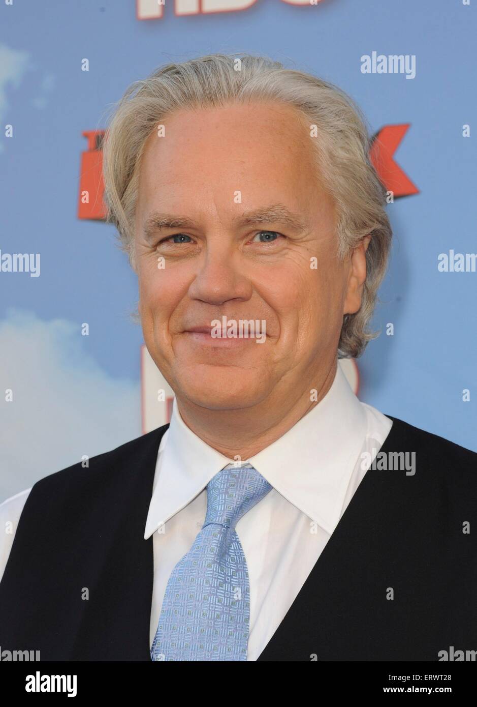 New York, NY, USA. 8th June, 2015. Tim Robbins at arrivals for THE ...