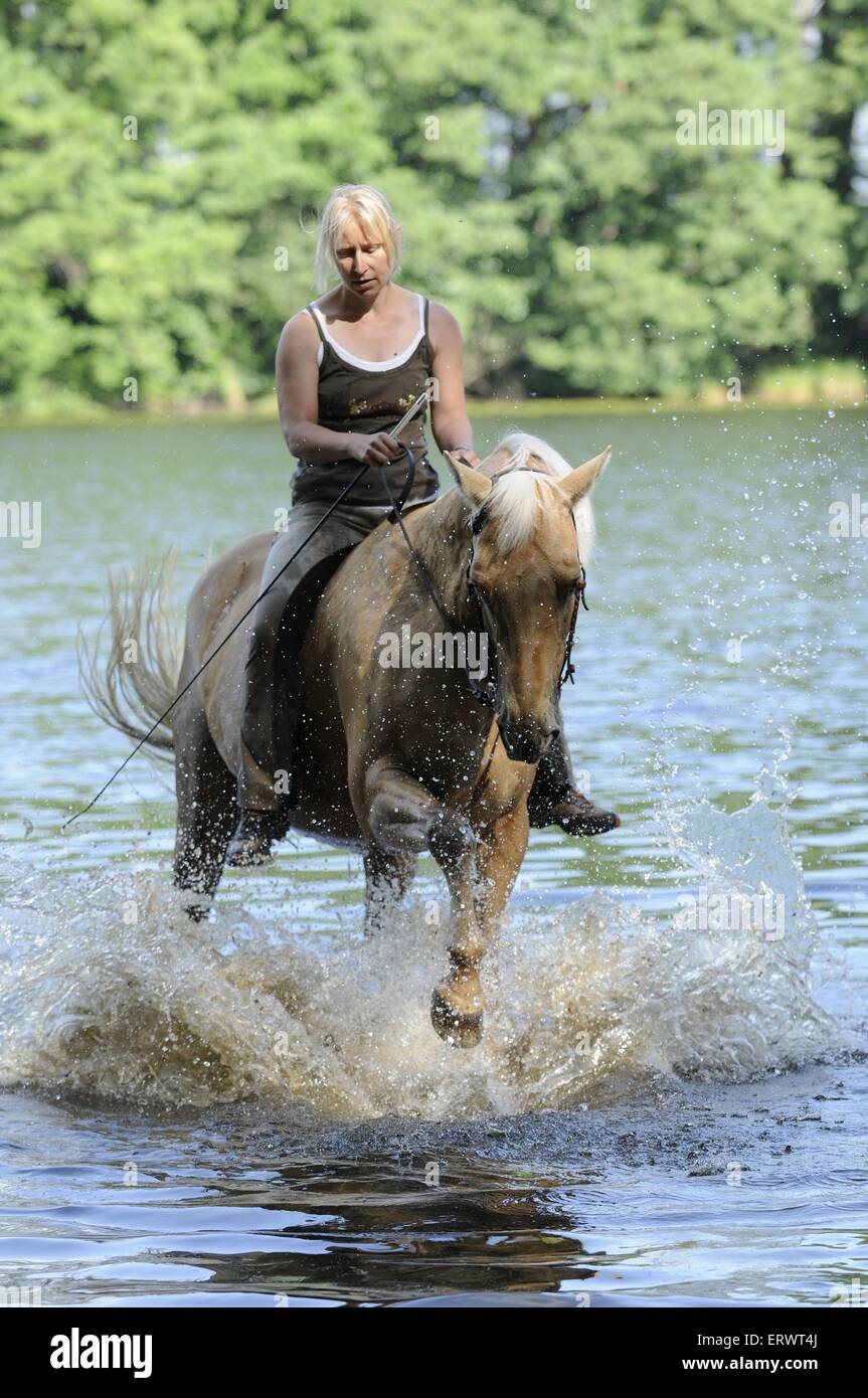 woman rides Quarter Horse Stock Photo - Alamy