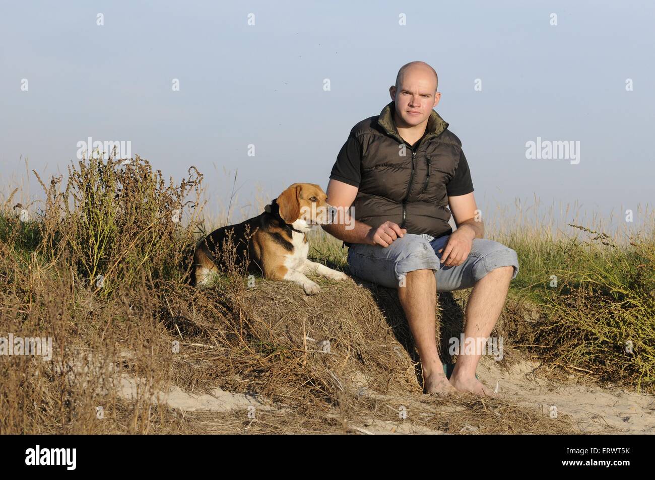 man and Beagle Stock Photo - Alamy