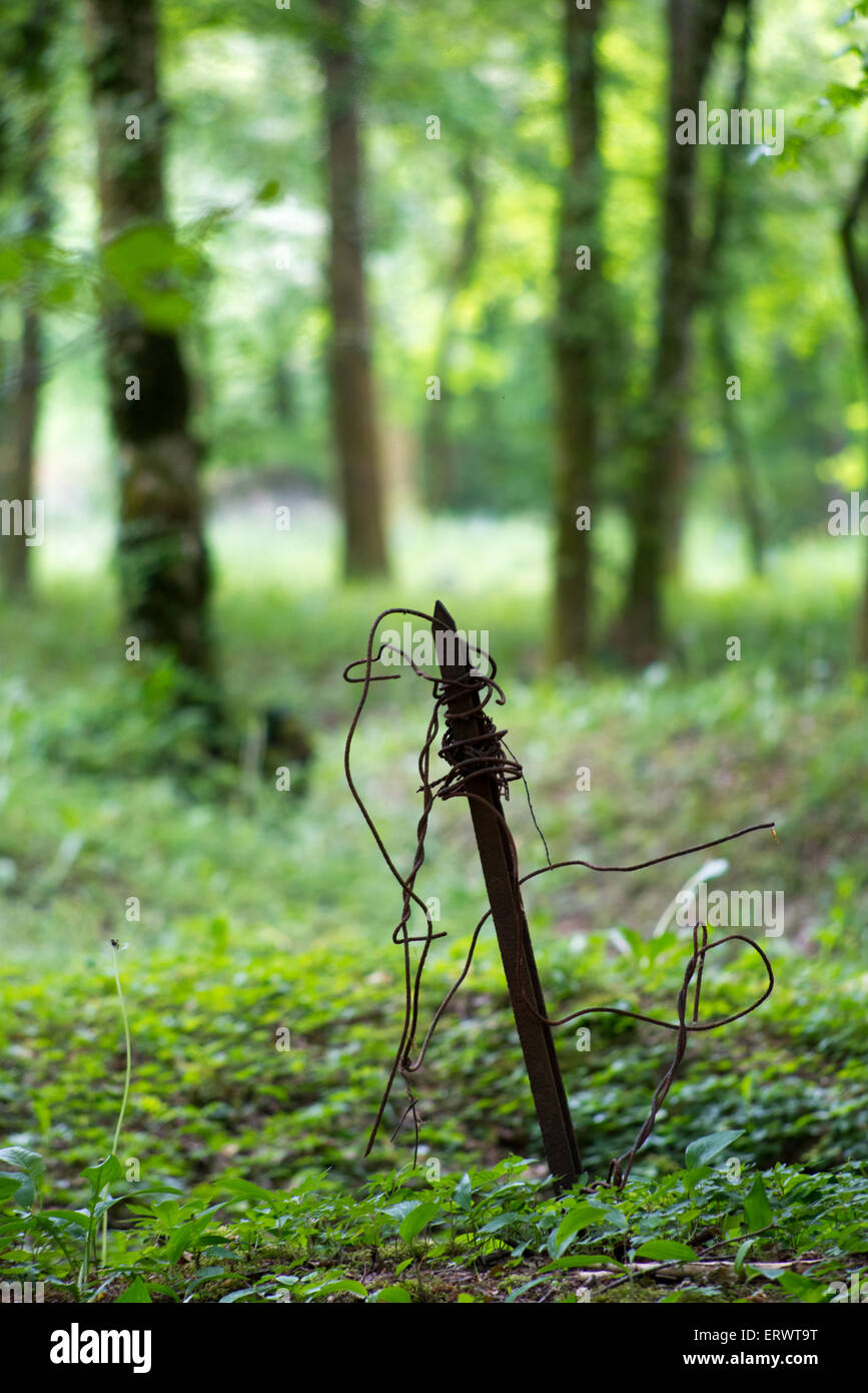 Ww1 battlefield barbed wire hi-res stock photography and images - Alamy