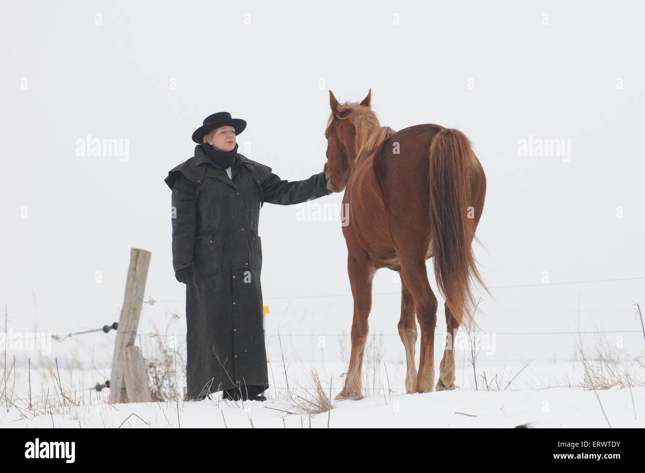human and arabian horse Stock Photo - Alamy