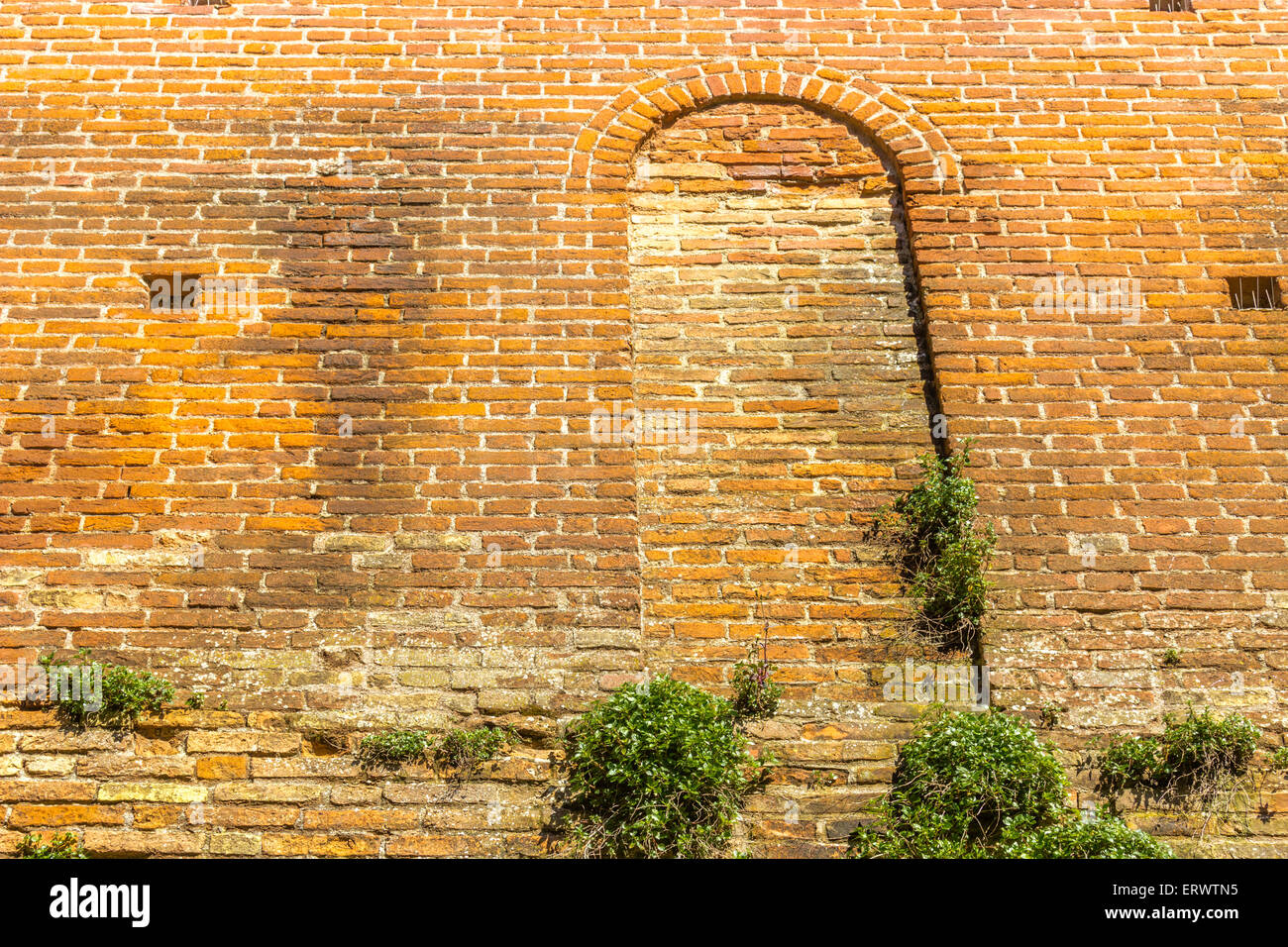 green plants and ancient brick walls with window of military ...
