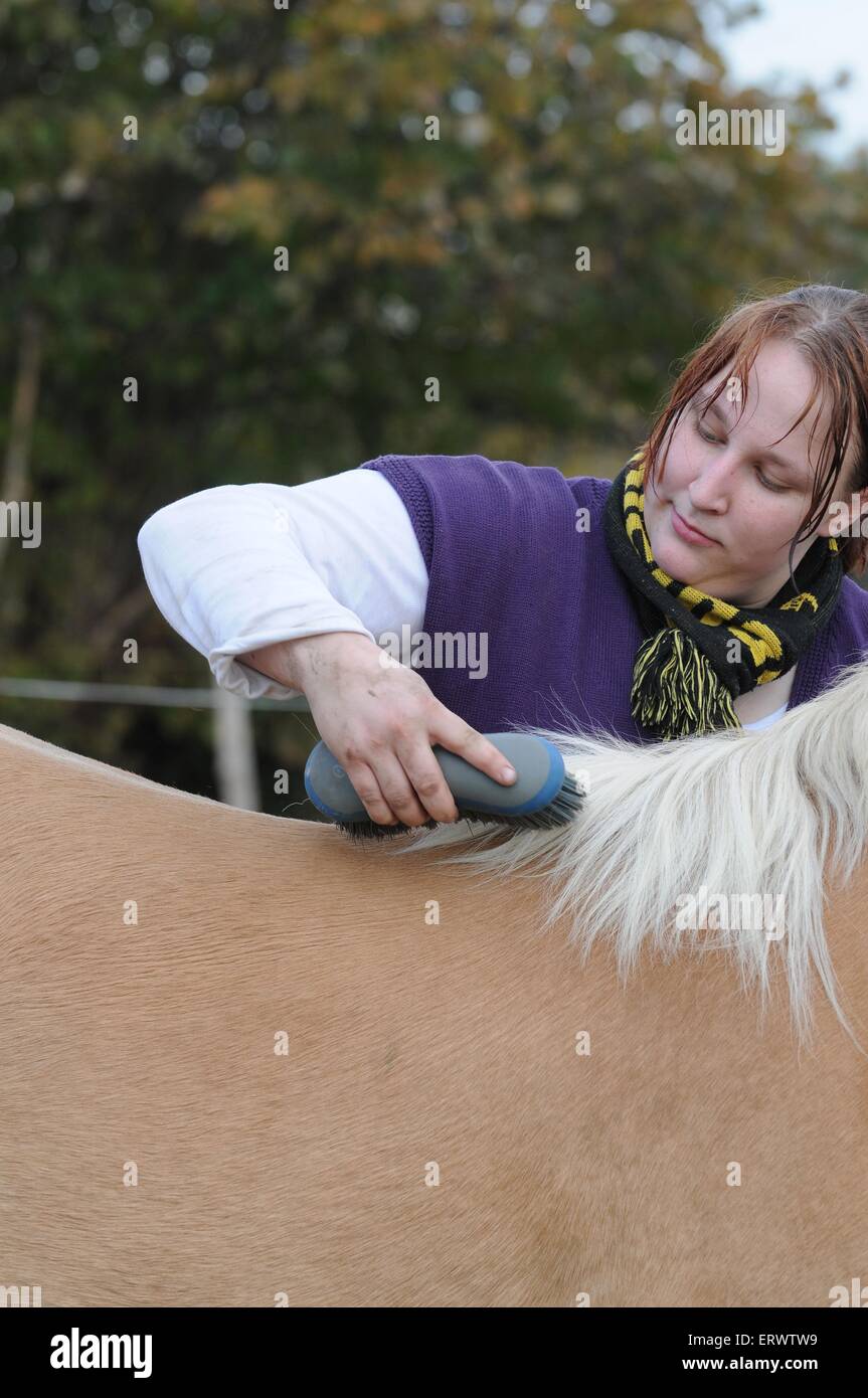 Young woman cleaning horse back hi-res stock photography and images - Alamy