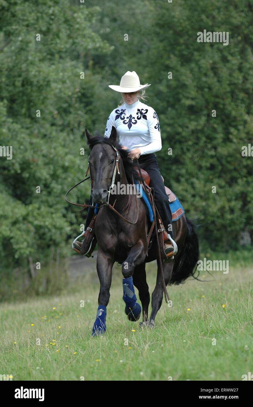 woman rides Quarter Horse Stock Photo - Alamy