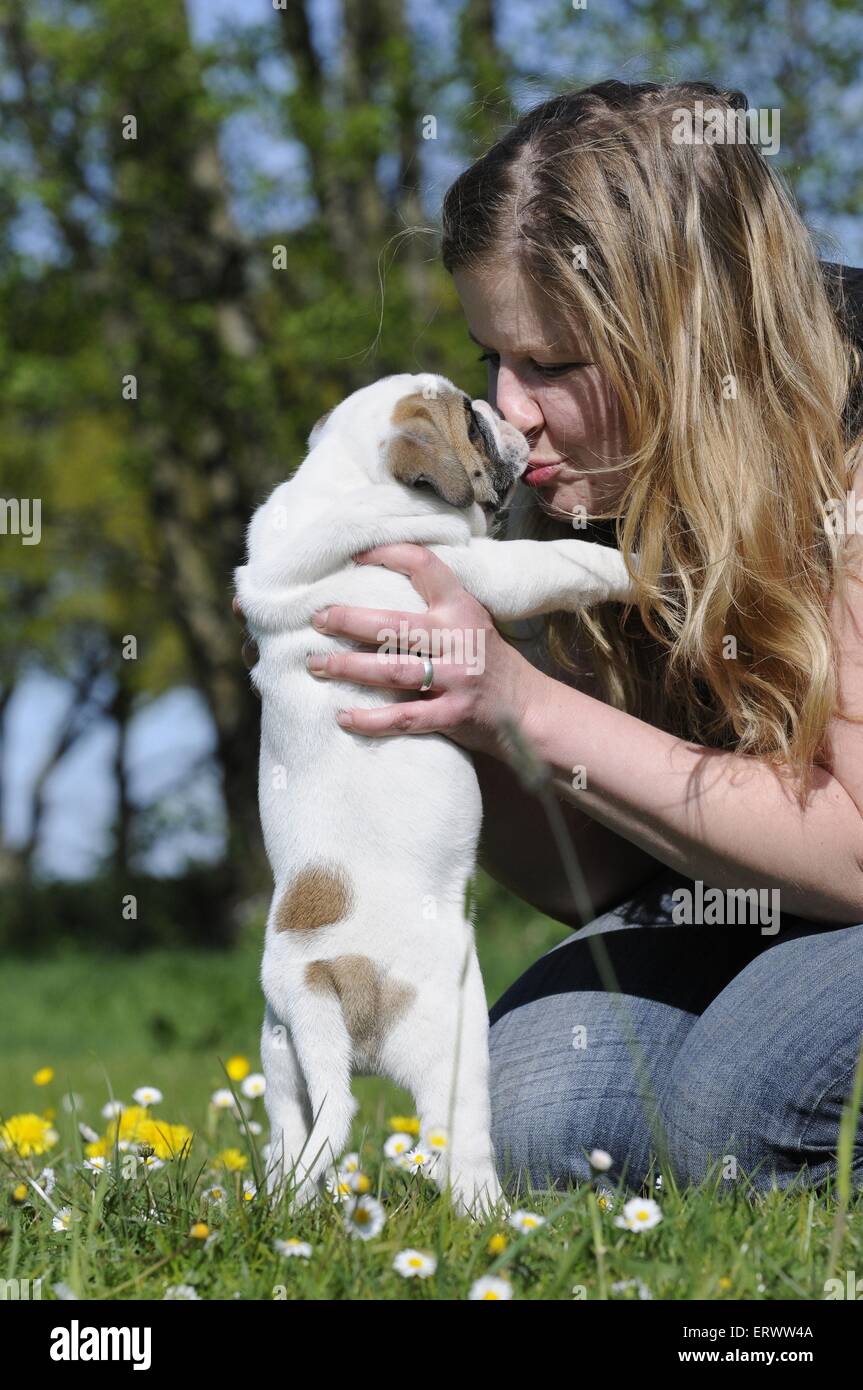 Woman lifting dog one person hi-res stock photography and images - Alamy