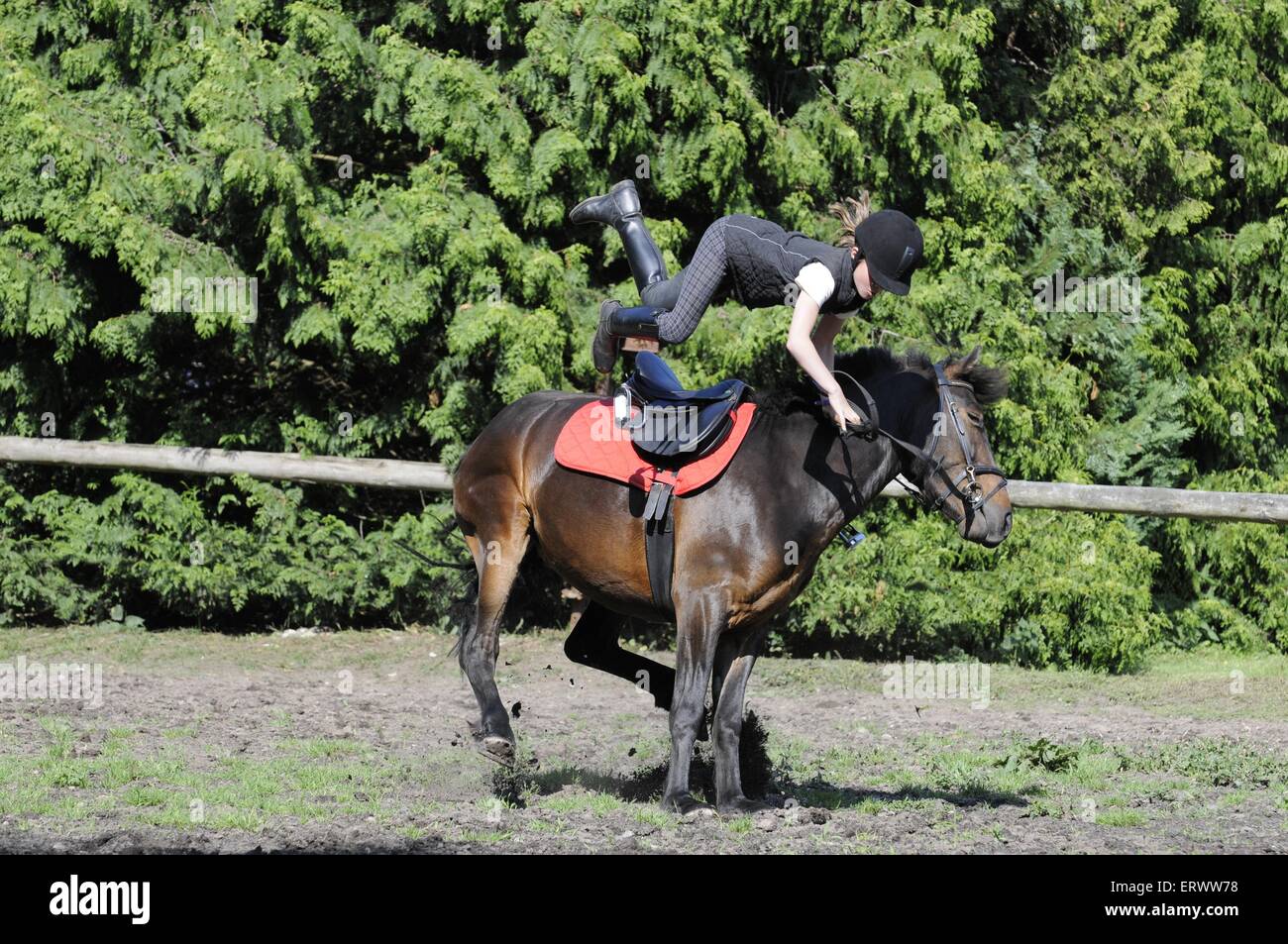 Child falling off pony hi-res stock photography and images - Alamy