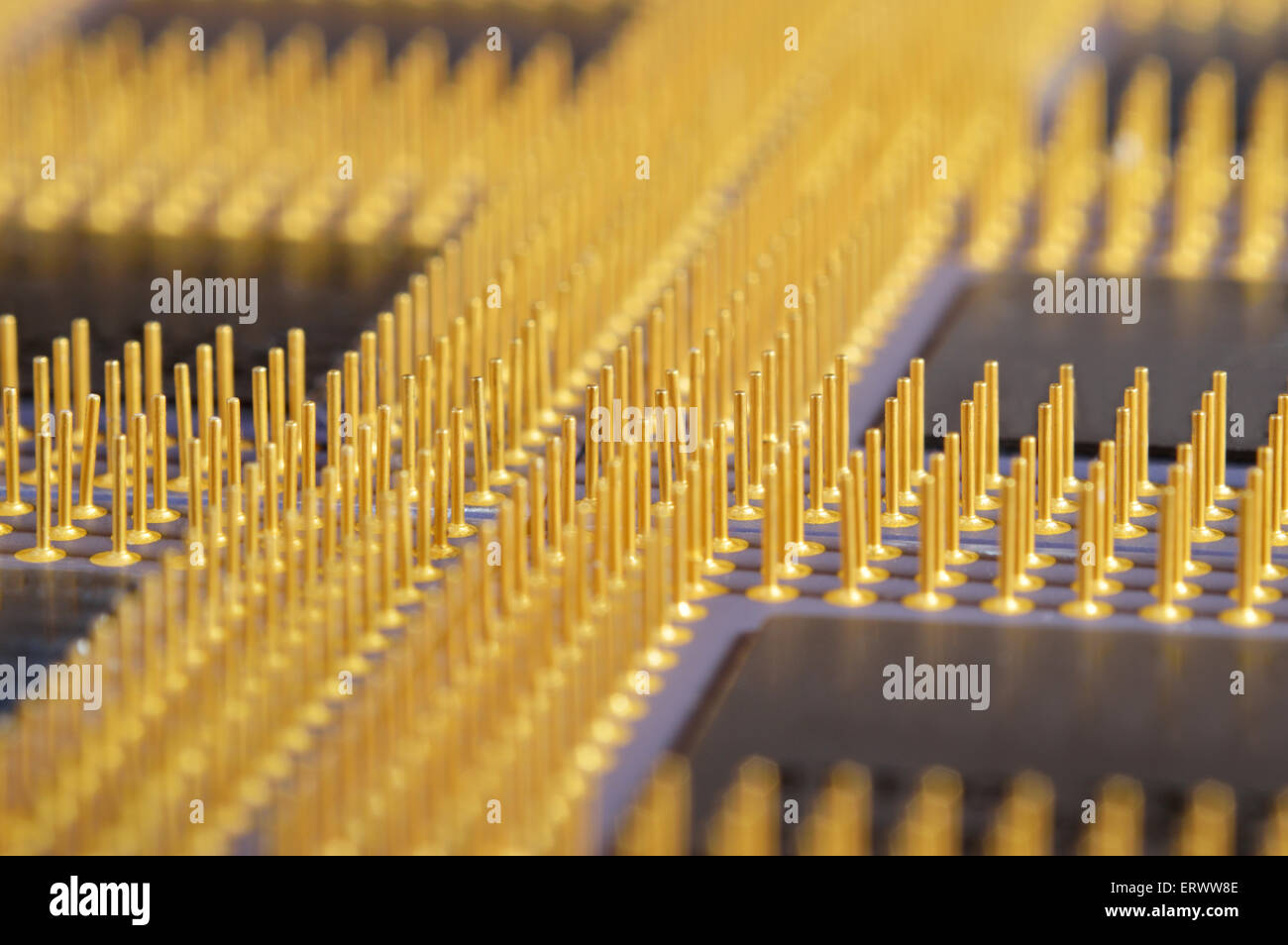 Gold microchip hi-res stock photography and images - Alamy