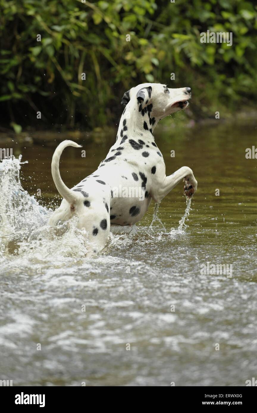 Bathing Spots High Resolution Stock Photography and Images - Alamy