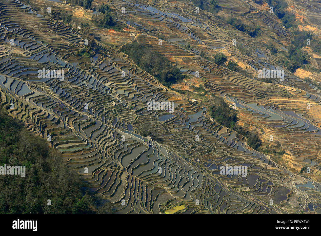 Terraced fields, Yunnan, China Stock Photo - Alamy